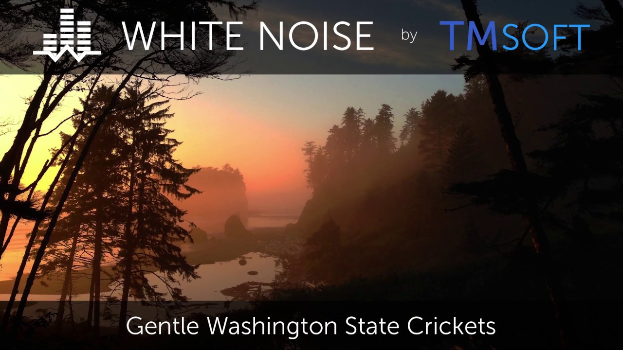 Gentle Washington State Crickets 10 Hour Sleep Sound - Black Screen ...