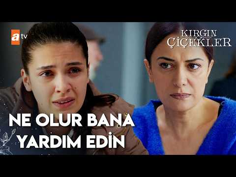 Nazan, Eylül'e yardım etmeyi kabul edecek mi? - Kırgın Çiçekler 39. Bölüm