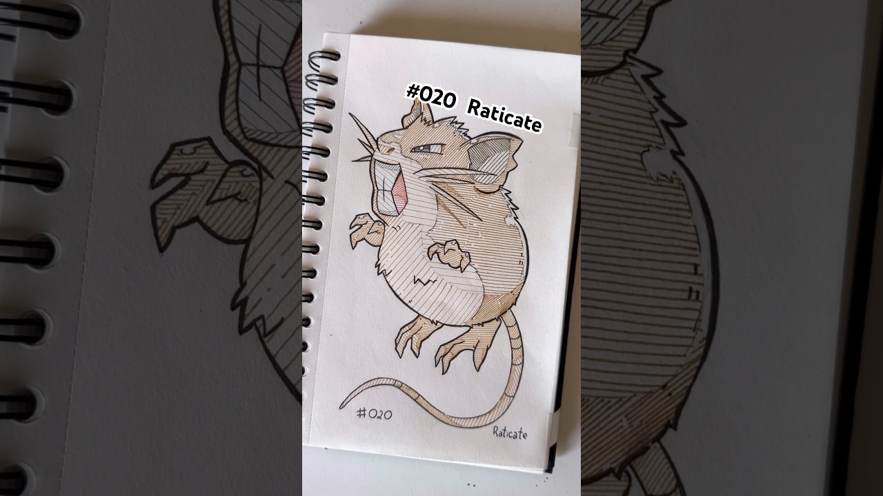 Raticate Drawing #ilustração #sketchbook #pokemonart - YouTube