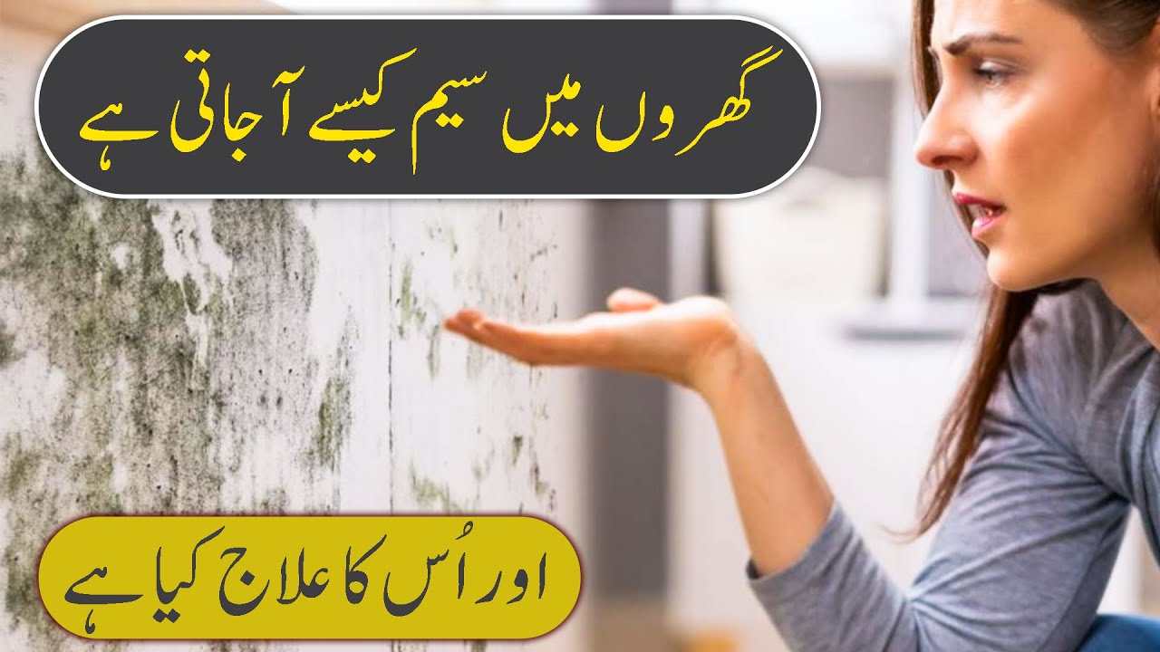 Wall Dampness Problems & Solutions Maakan Kahani Part 09 - YouTube