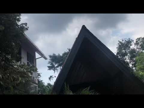 Punggung besar tak muat