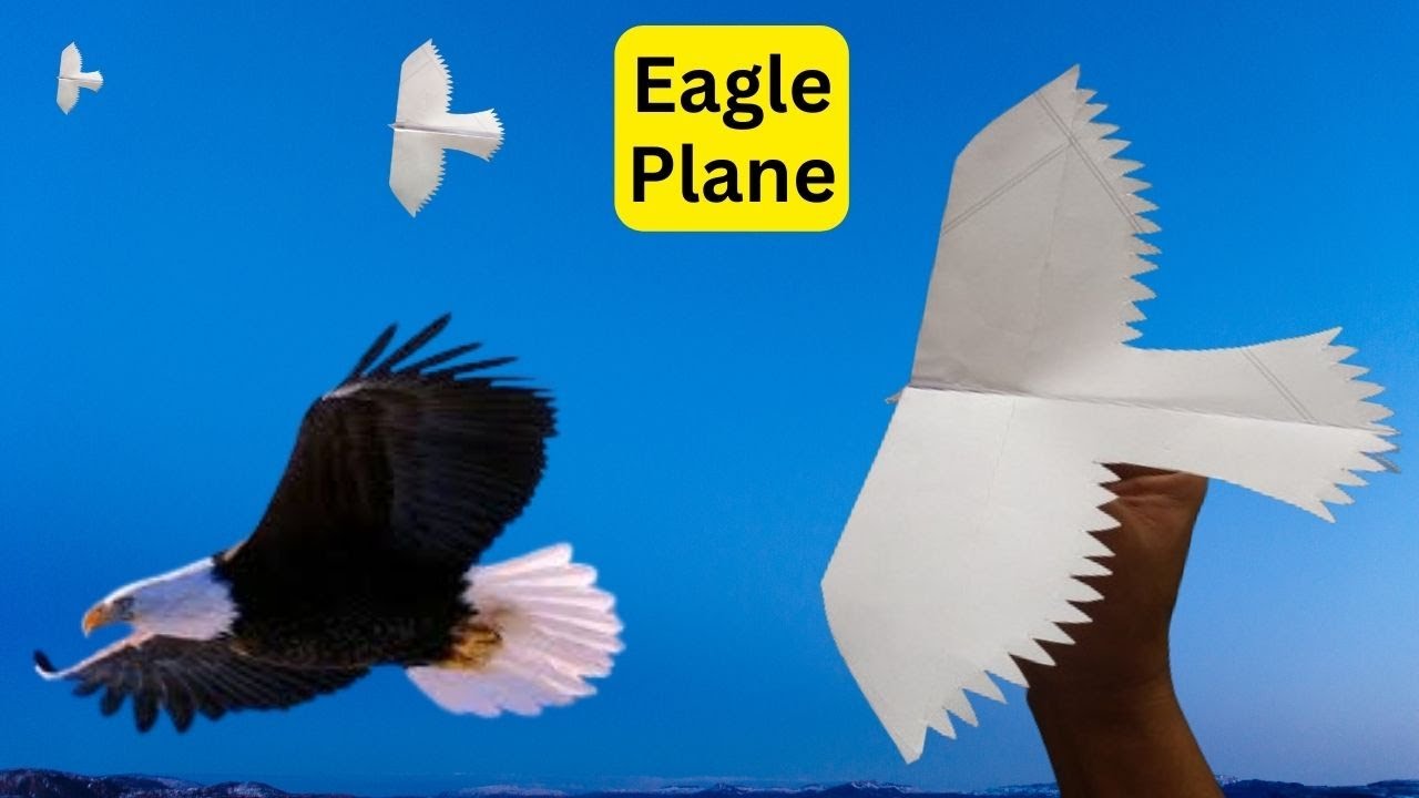 Flying Bird Plane Like EAGLE || How To Make A EAGLE Plane Step By Step ...