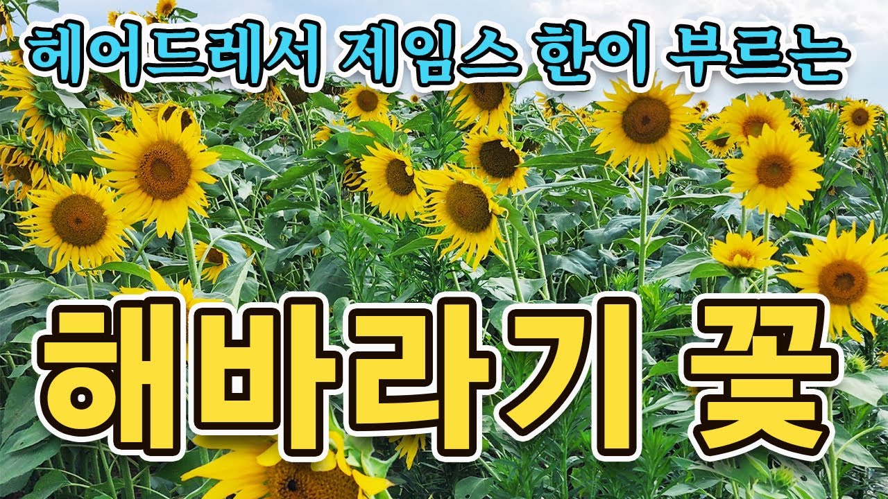 헤어드레서 제임스 한 이부르는 해바라기 꽃 James Han MD USA - YouTube