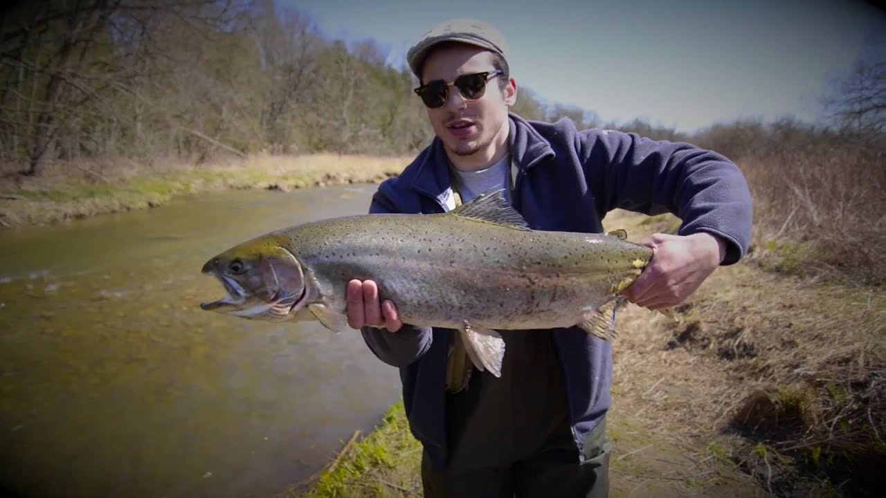 Trout Fishing HUGE SPRING STEELHEAD CATCH - YouTube