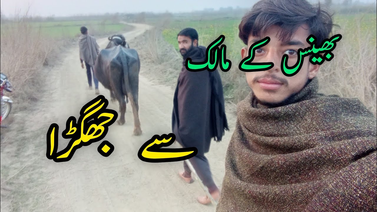 Cow Ky Maalik Sy Larai Hu Gai | Cow Wapis Nhi Lun Ga | Umar Rajpoot ...