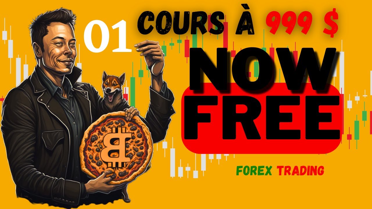 Free course to learn forex trading from 0 to 100 (in French) - YouTube