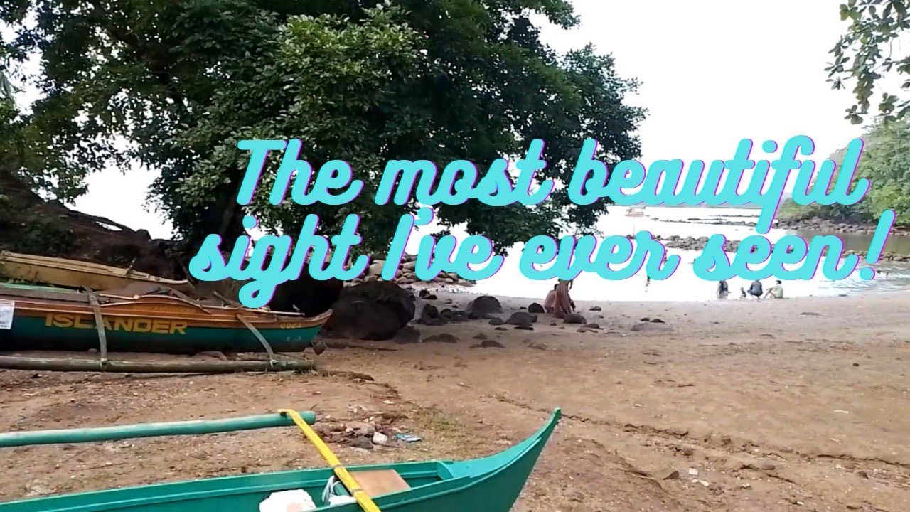 ROAD TO PAMINTAYAN BEACH | BUUG, ZAMBOANGA SIBUGAY - YouTube