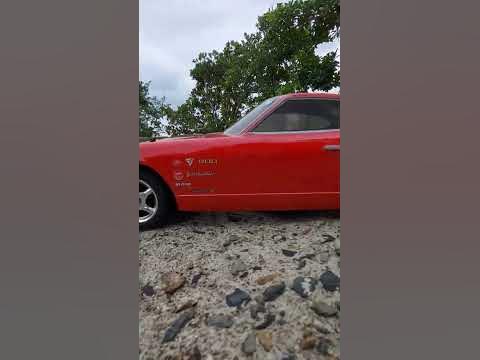 NISSAN Fairlady z 130z Tamiya 1/10 M-04 RWD RC Car Lipo 2 Cell Brush Motor Specification - YouTube