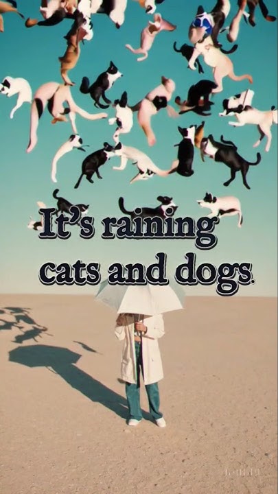 It's raining cats and dogs #idioms #learnenglish - YouTube