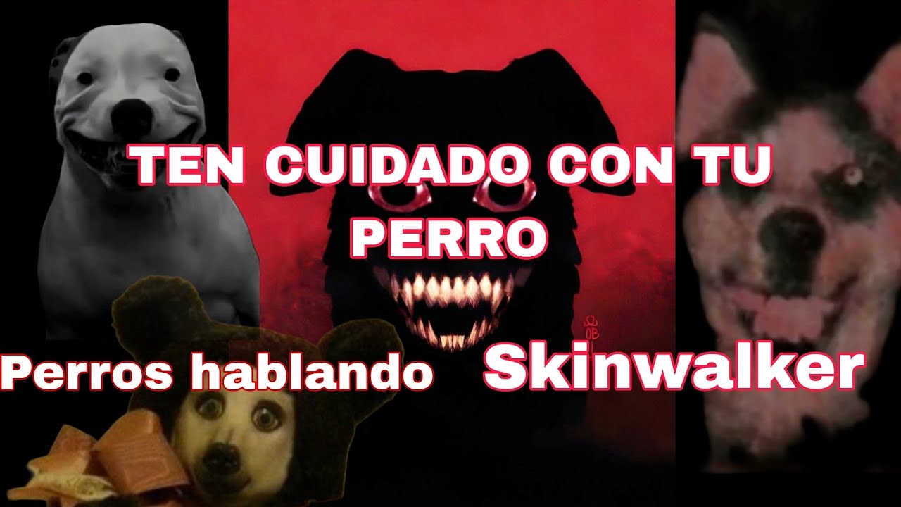 MI PERRO ME HABLÓ/ Experiencias perturbadoras con animales/ Skinwalker ...