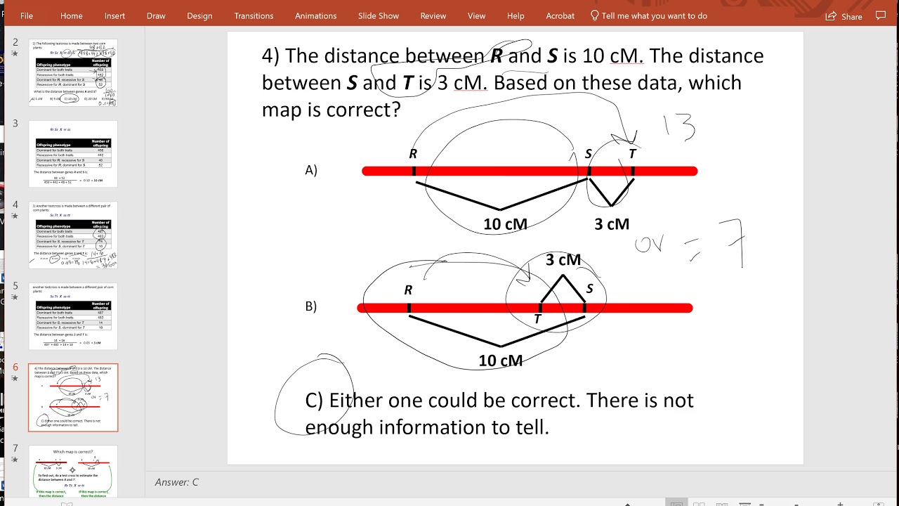 Bio 240 Exam 2 Powerpoint review - YouTube
