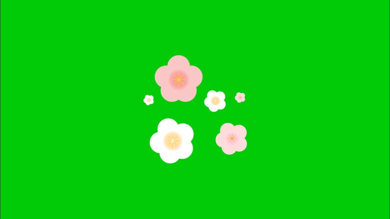 Flowers in bloom Green Screen (2) - YouTube