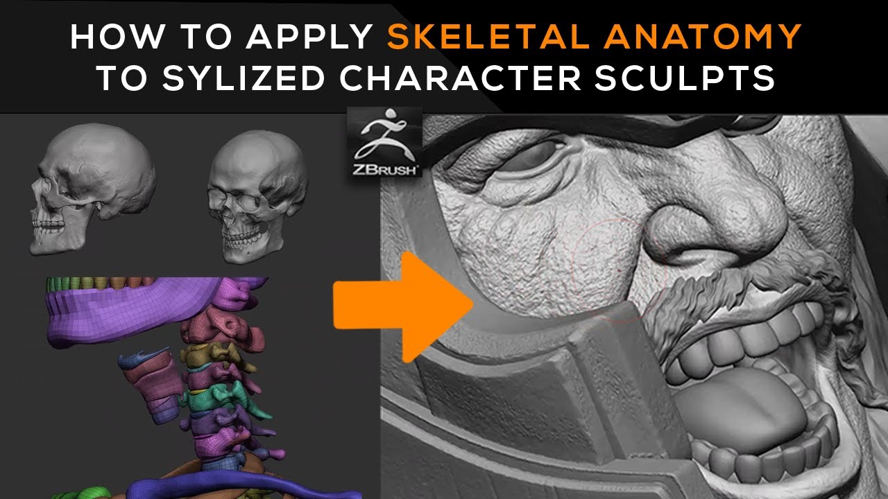 How to apply skeletal anatomy to Zbrush stylized sculpts for pro level ...