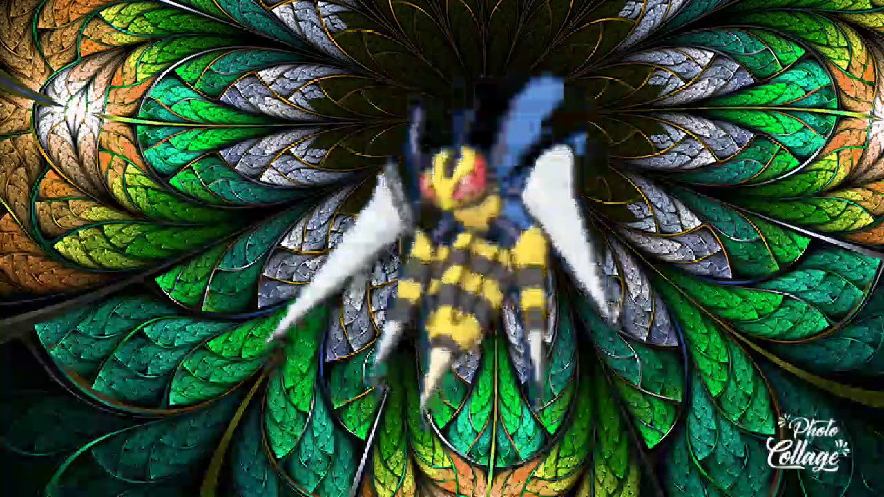 Mega Beedrill cry - YouTube