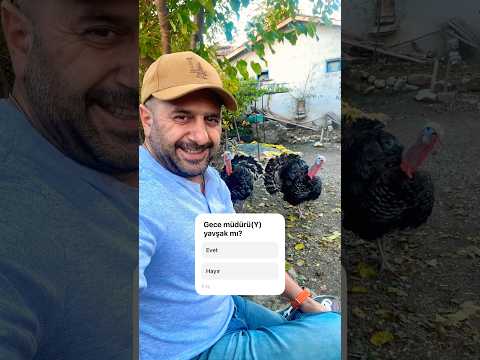 Gece müdürü(Y) yav*şak mı? İnsanlık tek tek delirmek yerine kitleler hâlinde deliriyor.