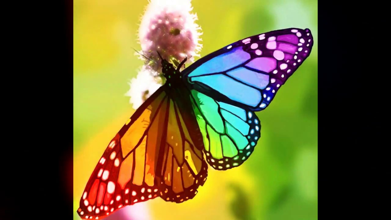 Creative art: how to paint a butterfly using rice paper - YouTube