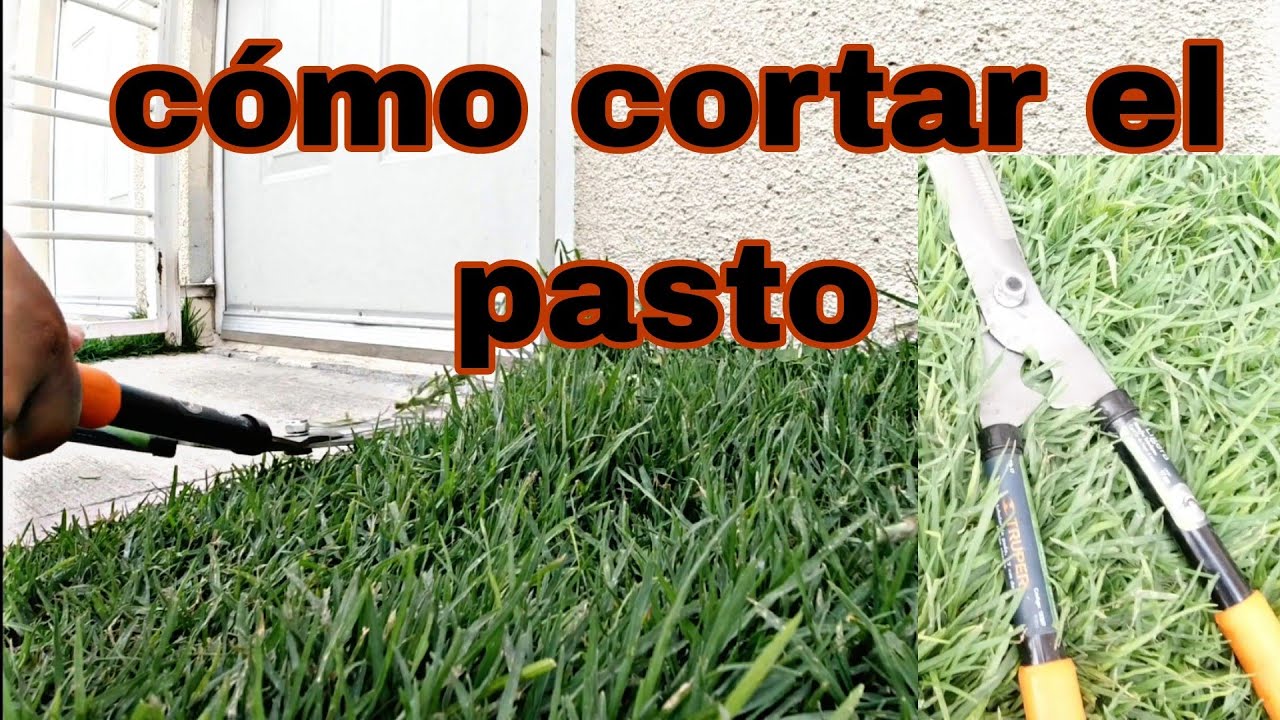 como cortar el pasto fácil y rápido #ceped #jardin #pasto - YouTube