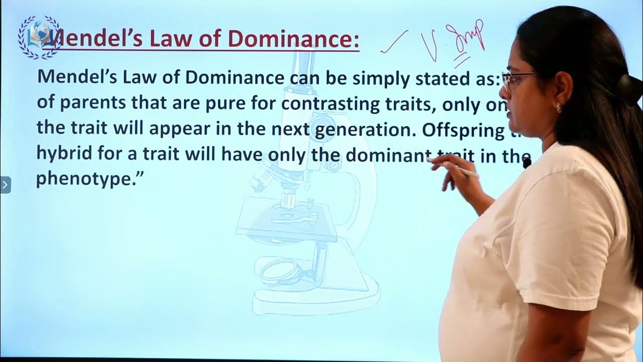 Principle Of Inheritance & Variation (Part-3) -Mendel's Laws of Inheritance Ch-5 Biology / Class ...