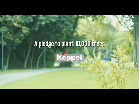 A pledge to plant 10,000 trees - YouTube