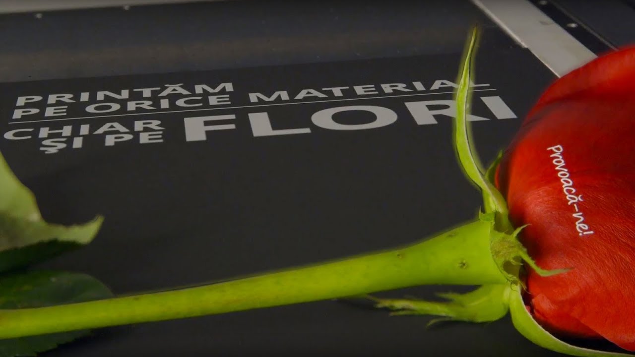 Prezentare Agrafa Print - www.agrafa.ro - YouTube