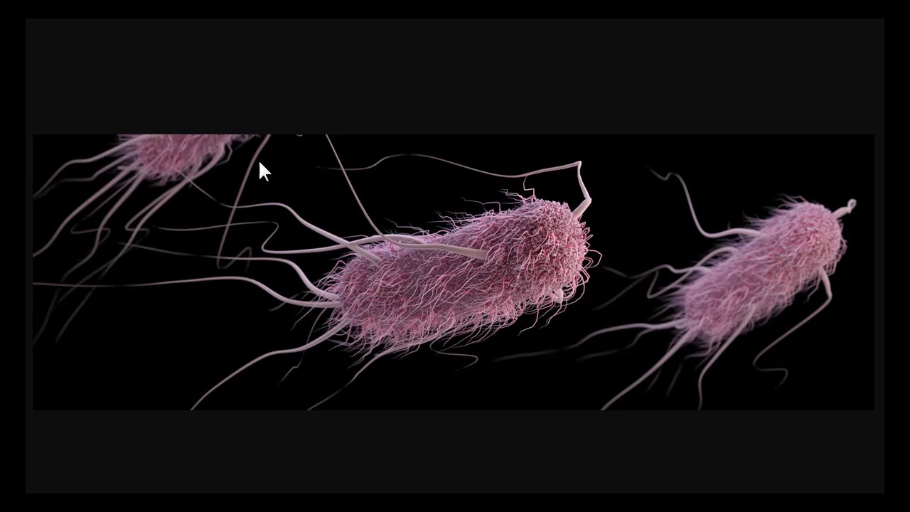 Solving Urinary Tract Infections without antibiotics by Dr. Stephen ...