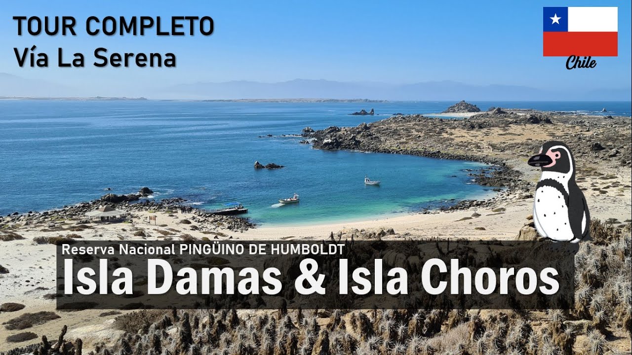 Tour completo ISLA DAMAS ISLA CHOROS desde LA SERENA (CHILE ...