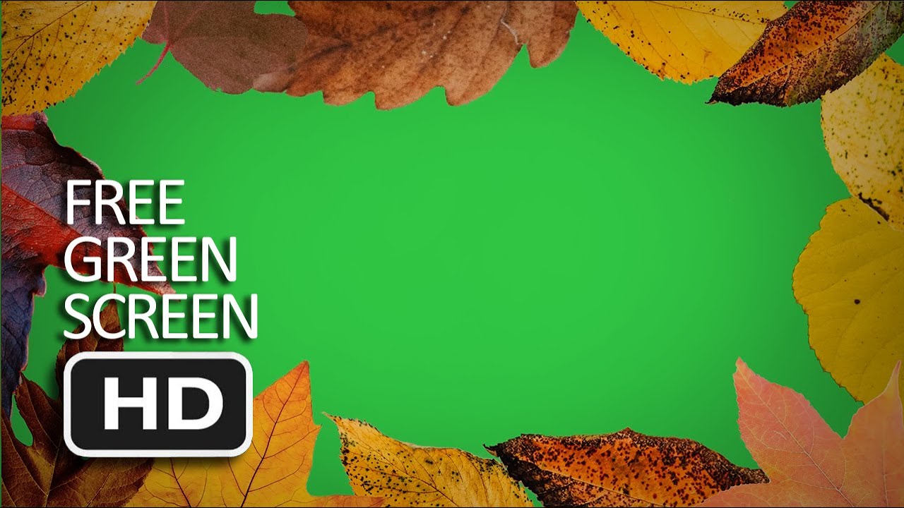 Free Green Screen - Autumn Leaves Frame - YouTube