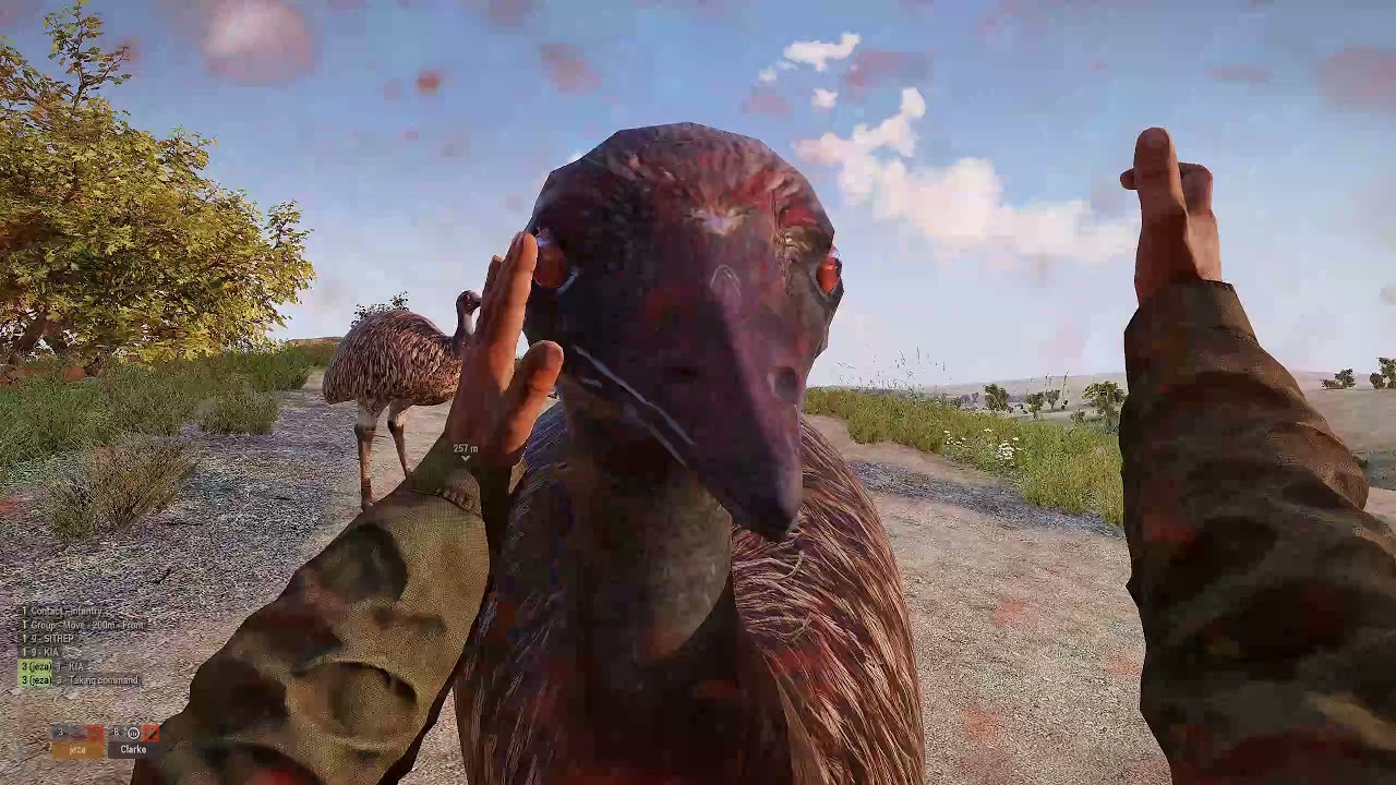 The Great Emu War - Found Footage - YouTube