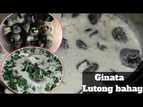 Ginataang Barungrong or Bagungon with Malunggay Lutong bahay at murang ...