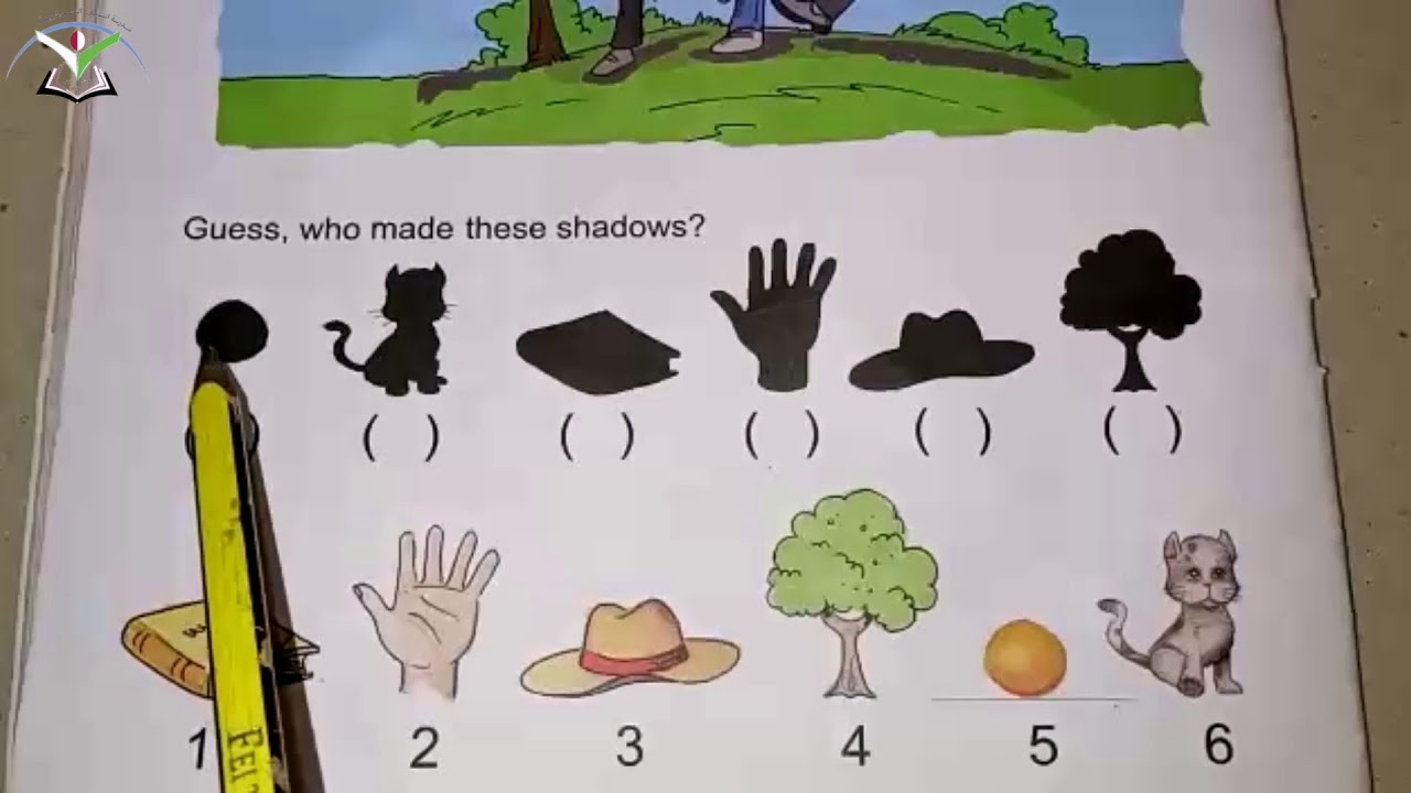 Science / shadows / first grade - YouTube