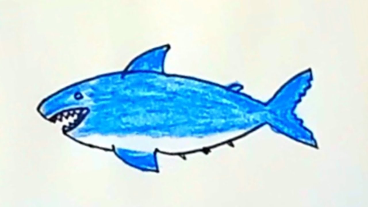 how to draw color fish drawing morgina drawing - YouTube
