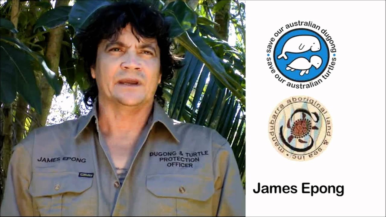 Bob Irwin,Ben Cropp and James Epong call for moratorium on killing ...