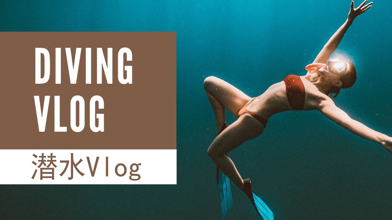 Diving Vlog | 潜水VLog - YouTube