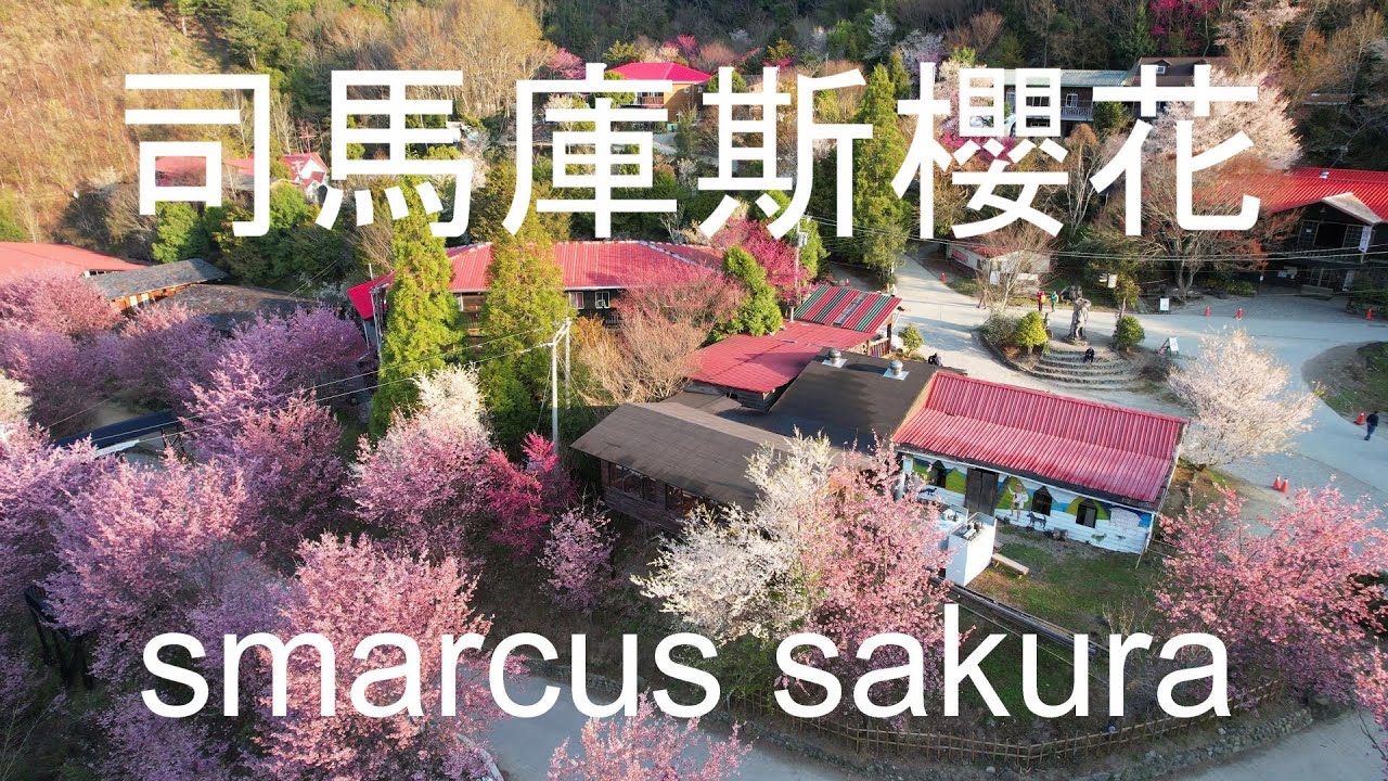 司馬庫斯櫻花(5)The Complete Works of Sima Kusi Cherry Blossom - YouTube