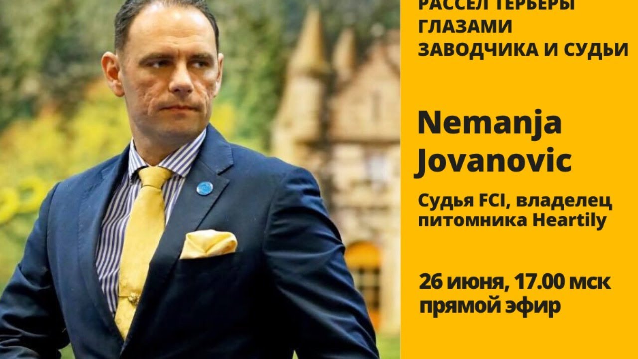 Рассел терьеры глазами заводчика и судьи. Прямой эфир с Nemanja ...