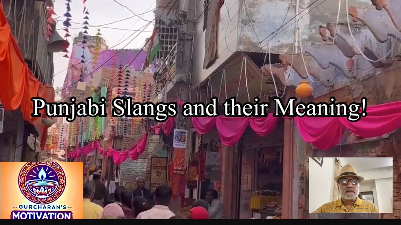 Punjabi Slangs and their Meaning! #LifeSublime - YouTube