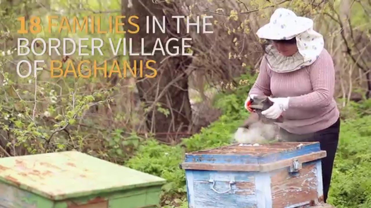 Bring on the Buzz! - YouTube