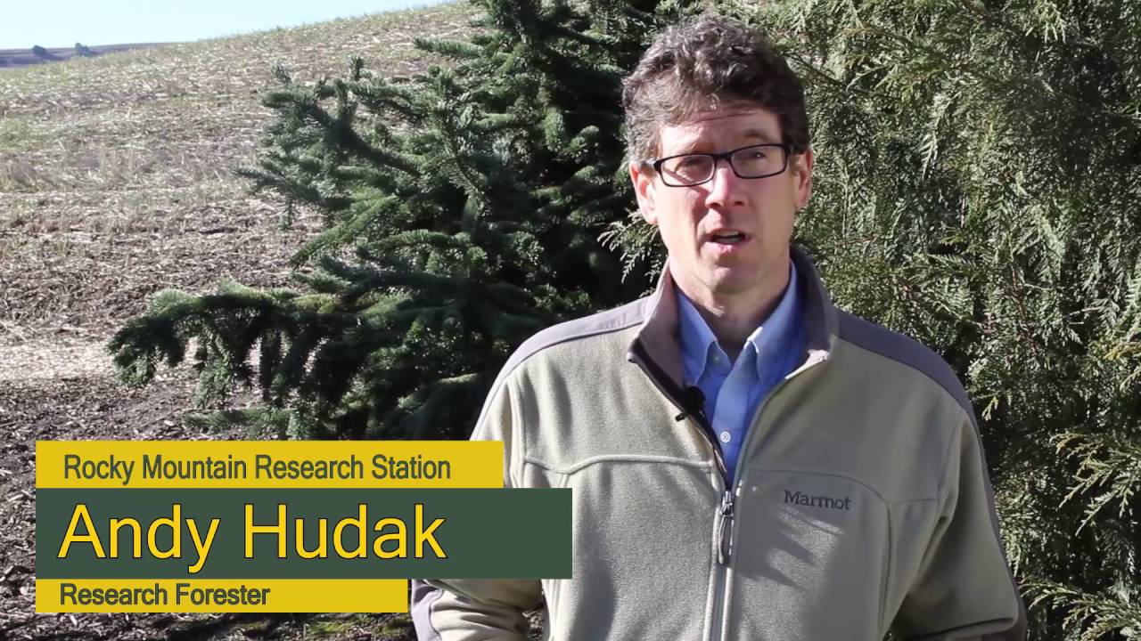 Meet Dr. Andrew Hudak, Research Forester - YouTube