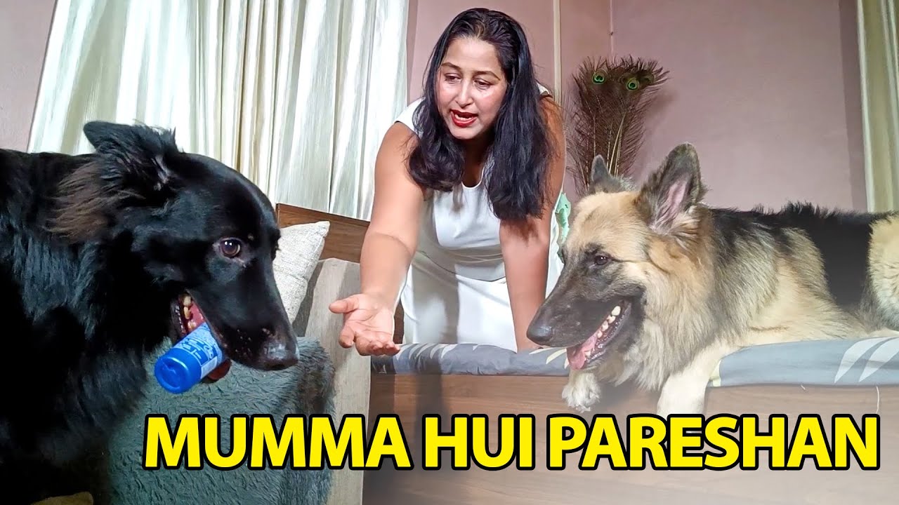 Mumma Hui Pareshan | German Shepherd | CameraBaba - YouTube