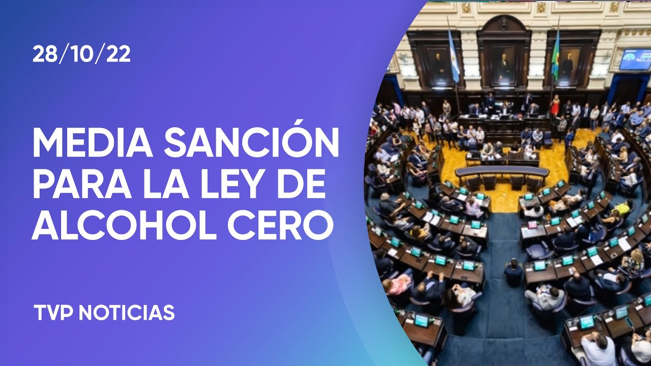 En Provincia De Buenos Aires Obtuvo Media Sanción La Ley De Alcohol