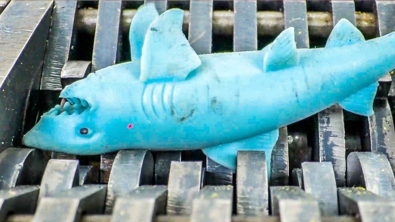 SHREDDING SHARKS AND ANIMALS! COOL EXPERIMENT! - YouTube