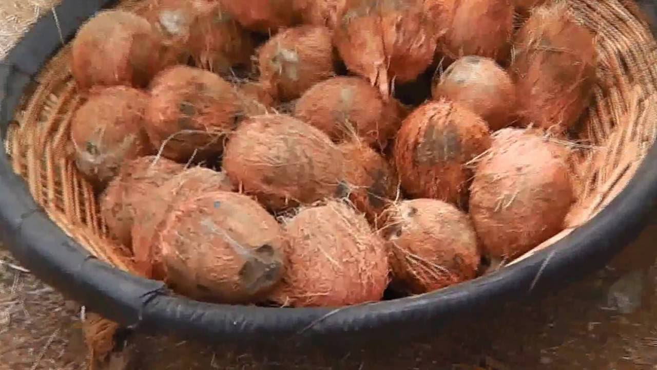 Coconut Dehusking machine - YouTube