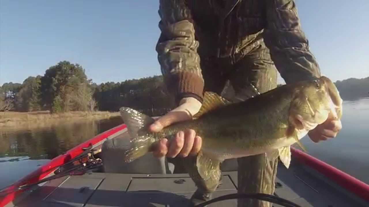 First trip to Lake Pinkston. 01/17/2015 - YouTube
