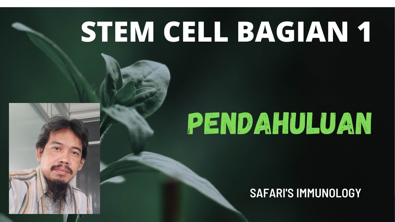 STEM CELL (SEL PUNCA) BAGIAN 1 : PENDAHULUAN - YouTube