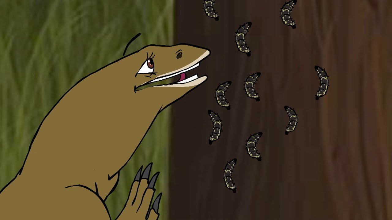 This lizard doesn't miss a thing, including any litter - Jabu's Jungle ...