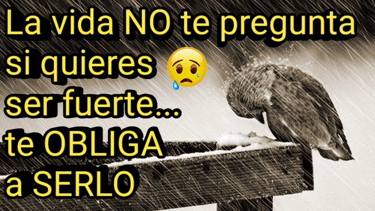 🦋La vida NO te pregunta si quieres ser fuerte,te obliga a serlo - YouTube
