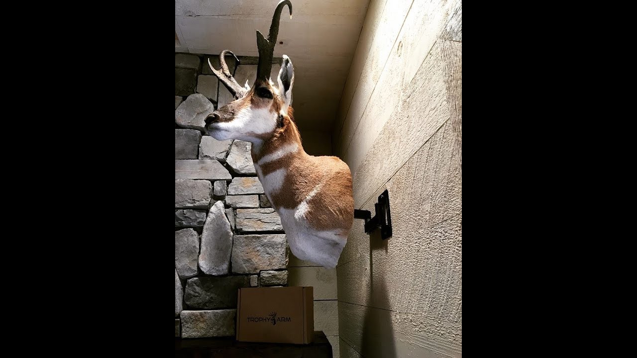 Trophy Arm Small Mount Installation - YouTube