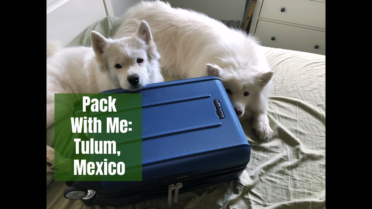 Pack with Me: Tulum, Mexico! - YouTube