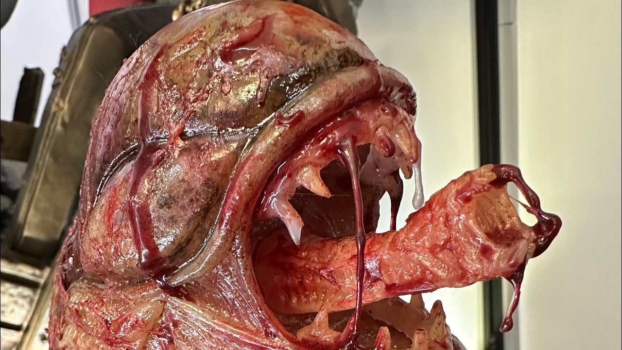 Transcend Studio presents 1/1 alien chestburster statue 4K version of ...