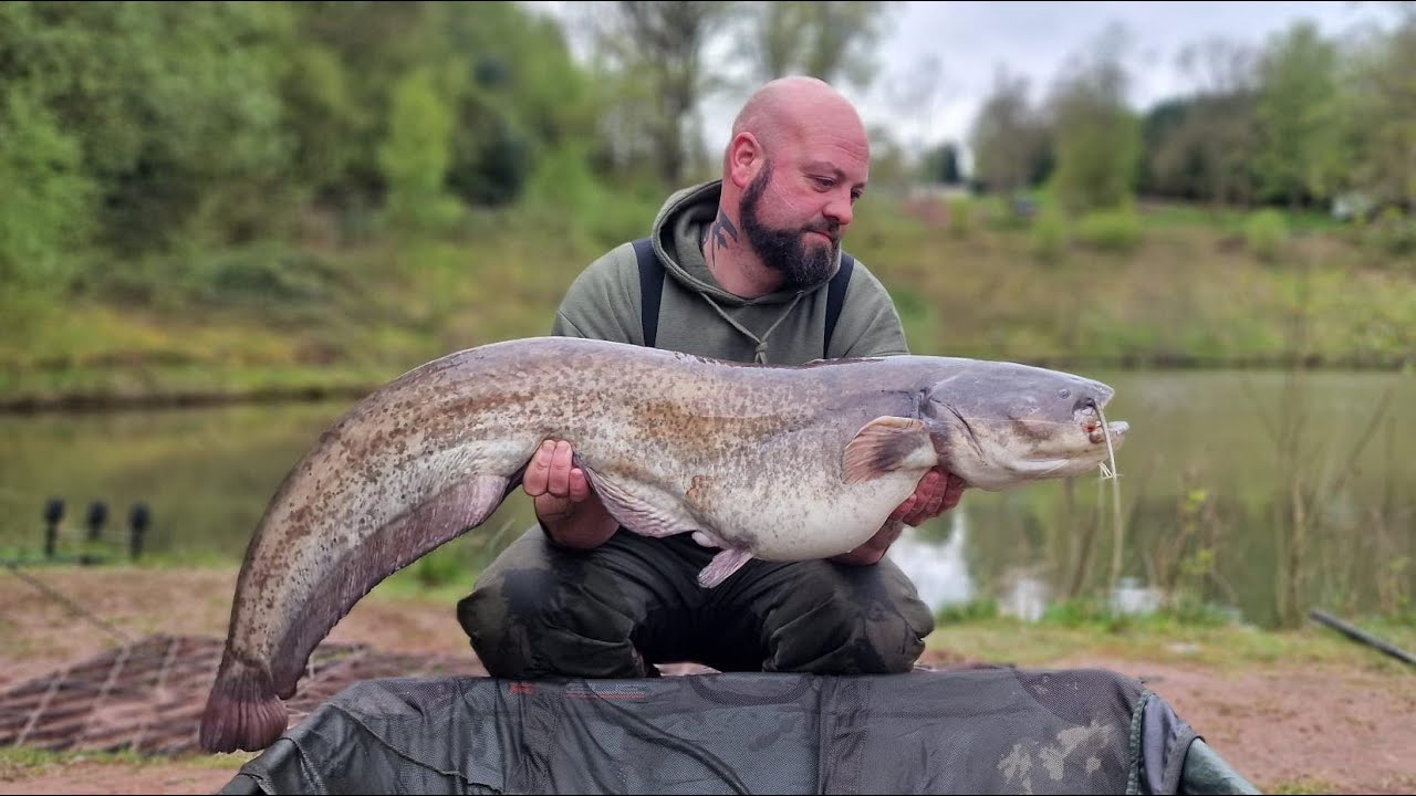 PB CATFISH. 96 HOURS FISHING AT SHATTERFORD LAKES. - YouTube